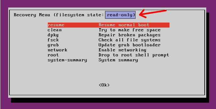 How To Remount Filesystem As Read write In Ubuntu Recovery Mode